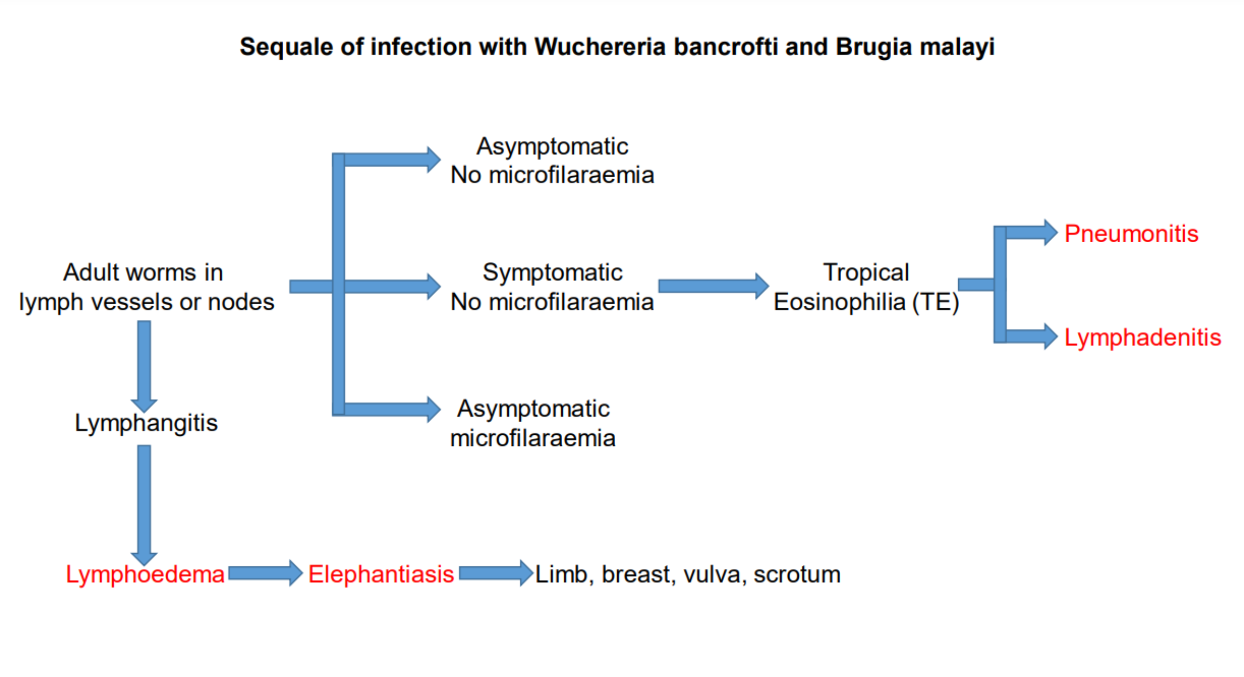 Lymphatic filariasis | Parasite Diagnosis